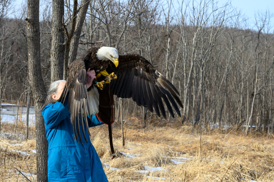 Freedom! | dbifulco | Blipfoto