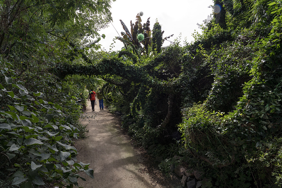 creative gardening | standingTree | Blipfoto