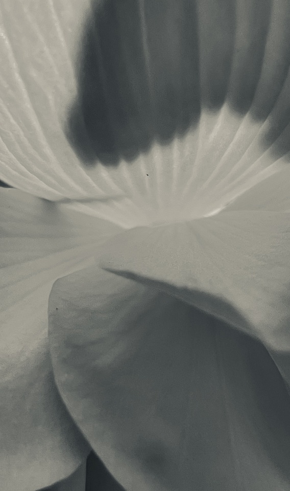 Untitled 1 | pixelpixie | Blipfoto