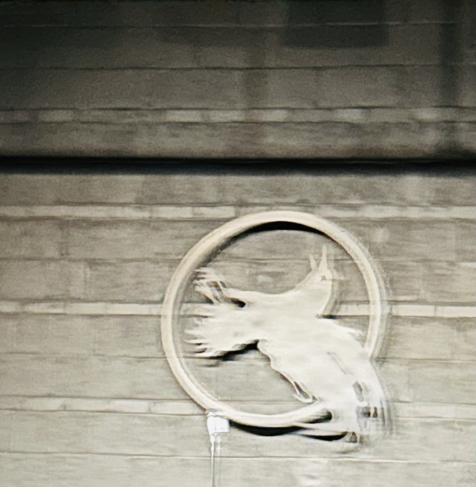 Dead Crow Comedy Room | Doingok | Blipfoto