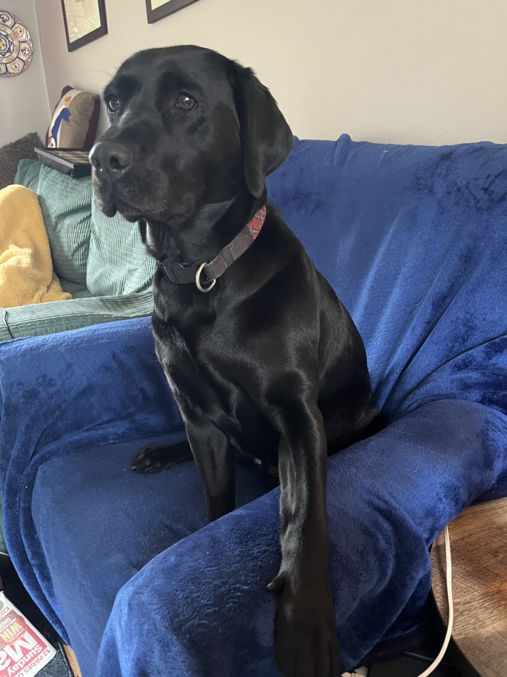 A better day | snapper | Blipfoto