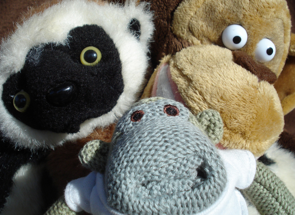 Hey hey we're the Monkeys | Rathmandu | Blipfoto