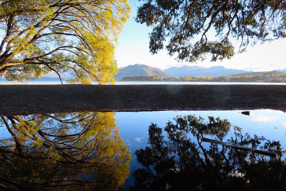 Golden Reflection | acyclinggranny | Blipfoto