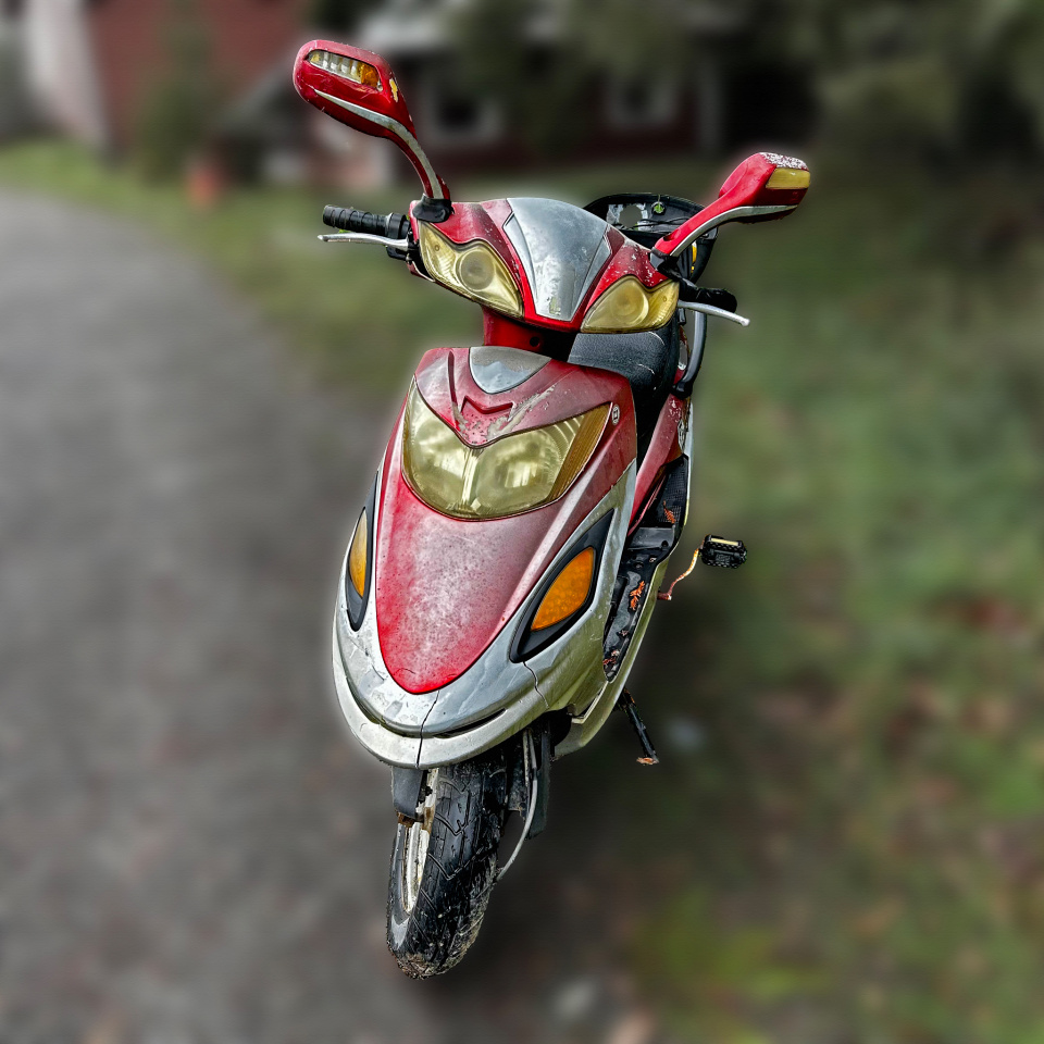 Bike bug | Nanzy19 | Blipfoto