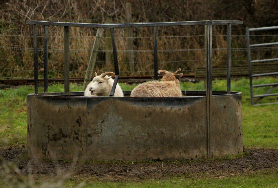 Munchie Box | theBroon | Blipfoto