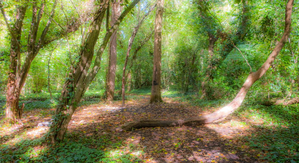 Splatt's | Kernow | Blipfoto