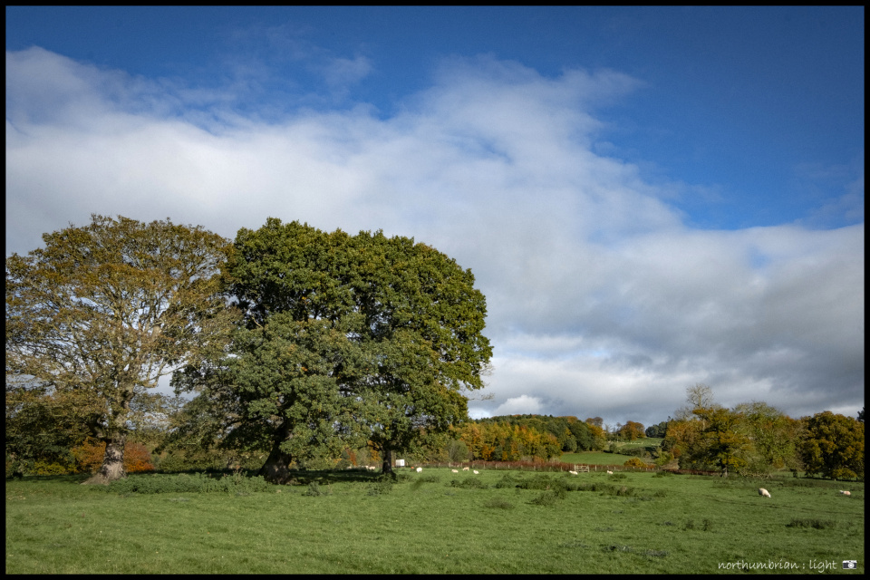 Ever more ... | RobinDown | Blipfoto