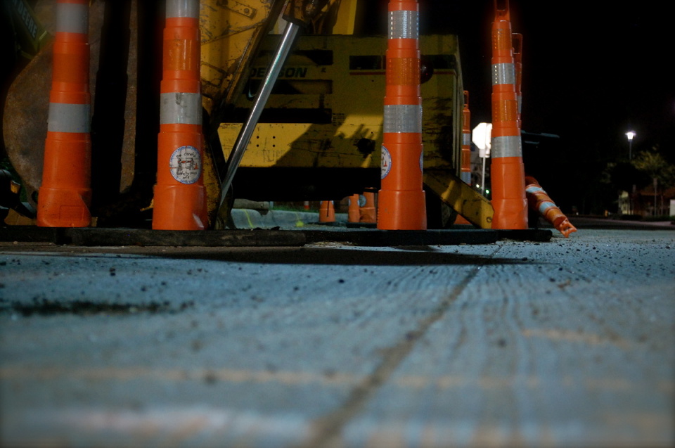 ground cones | fovea | Blipfoto