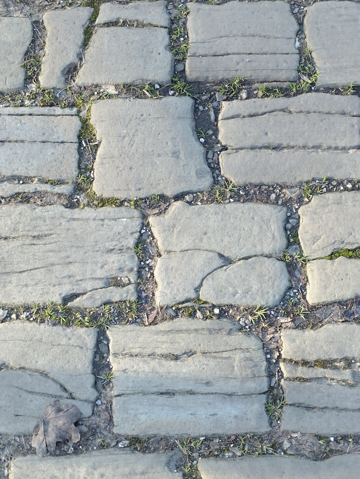 Sett Pattern | NotCuthbert | Blipfoto