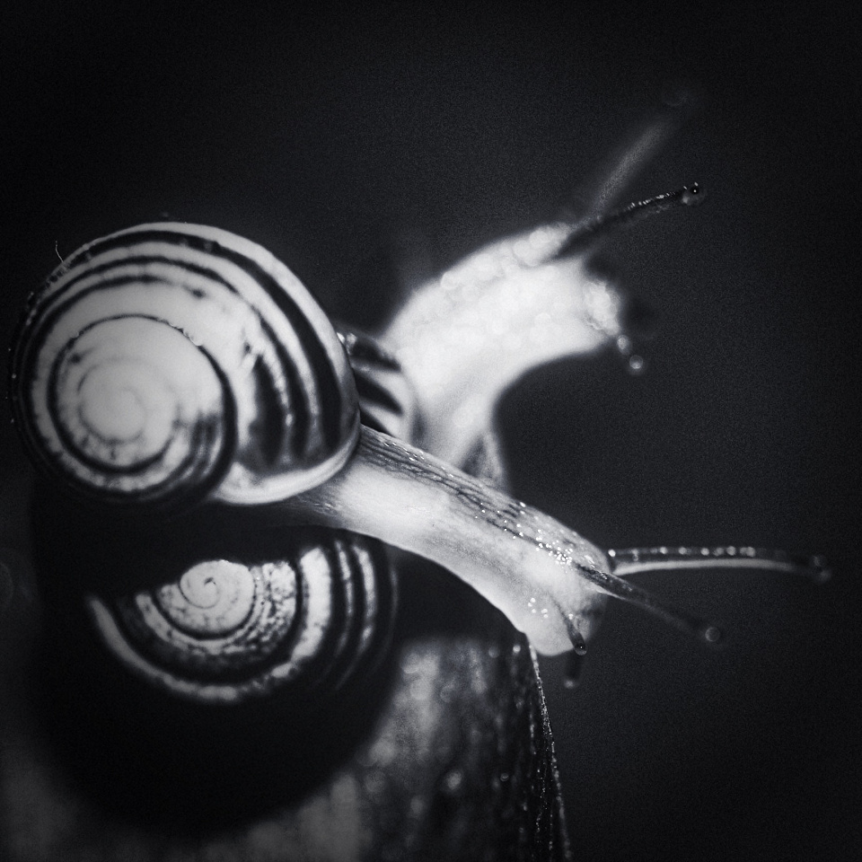 Liberty & 'Berty | sk | Blipfoto