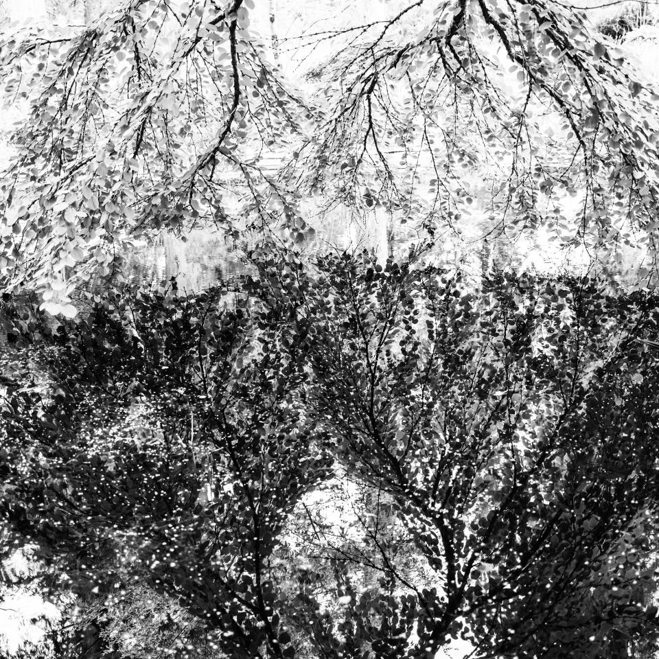 Reflections. | weeflecky | Blipfoto