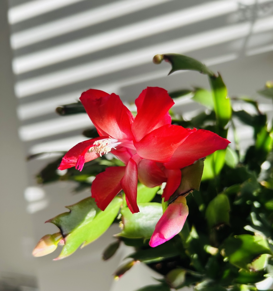 Light And Shadow | Doingok | Blipfoto