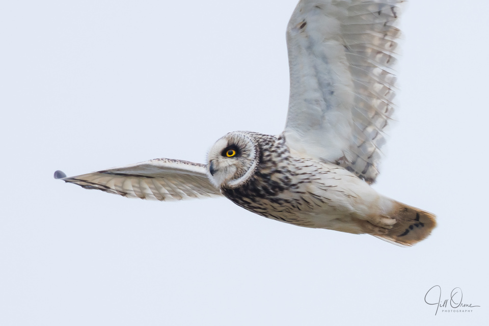 Different | JDO | Blipfoto