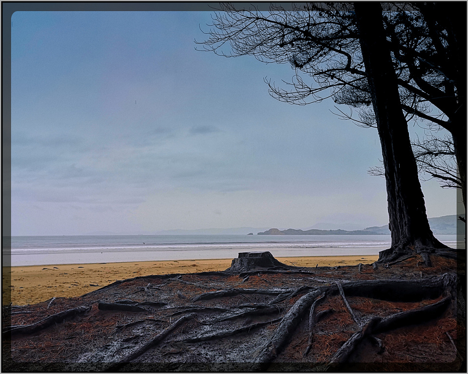 Wet drizzly day | ambleler | Blipfoto