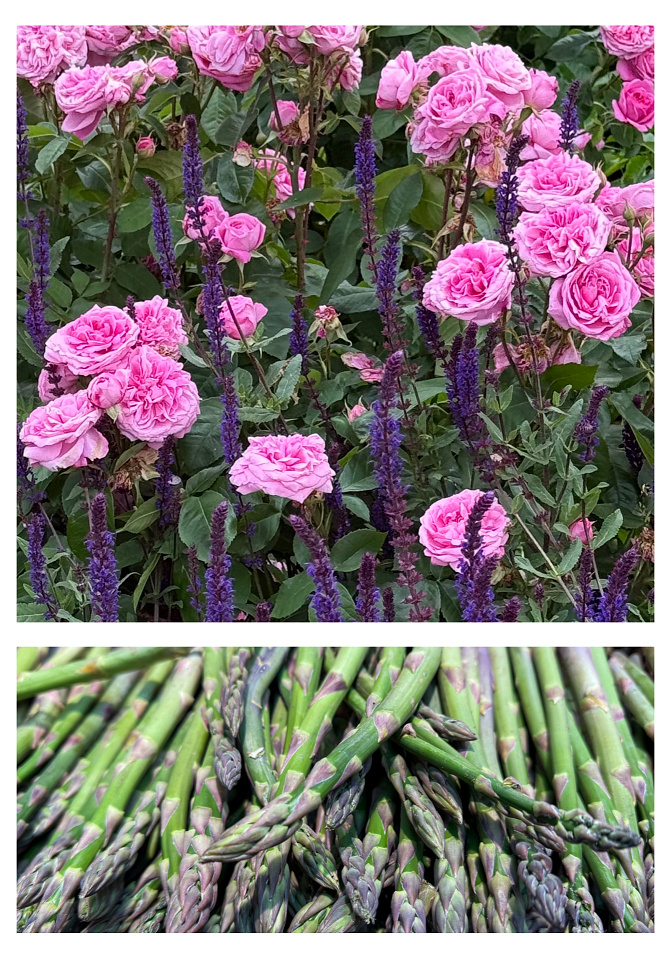 Coffee | Technophobe | Blipfoto