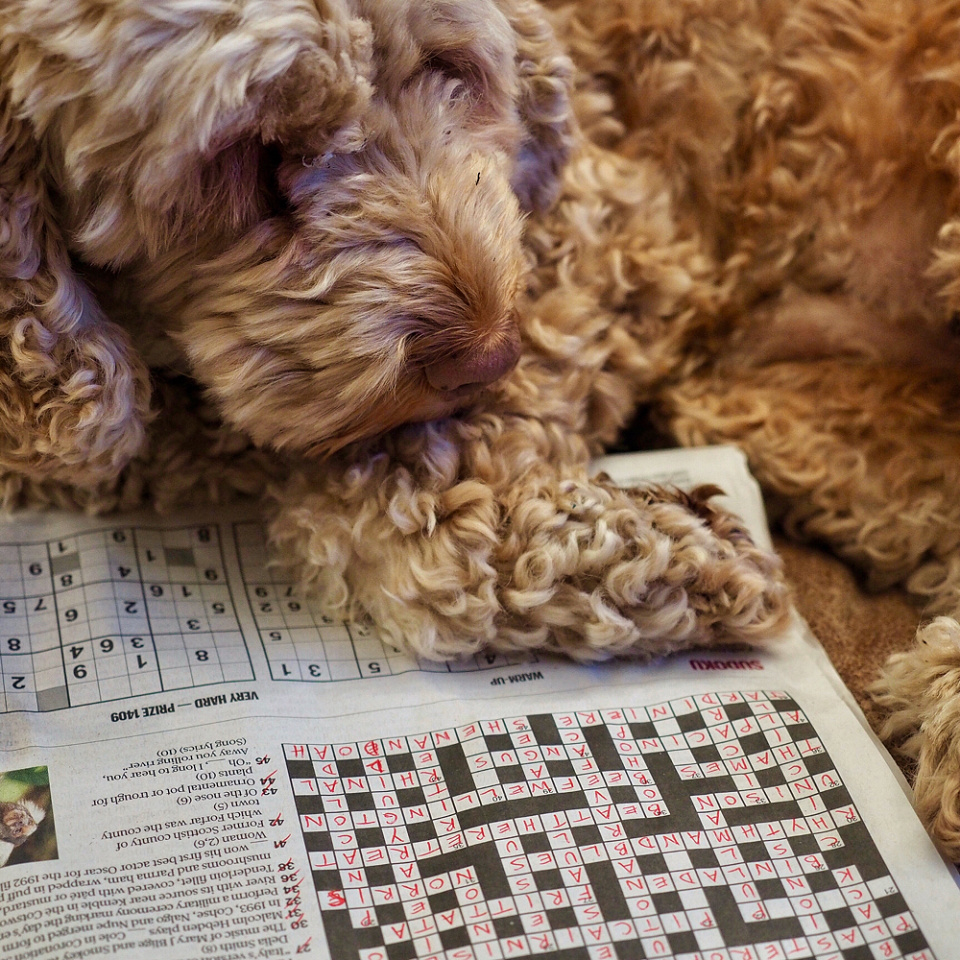 Just checking. | Cherryflapjack | Blipfoto