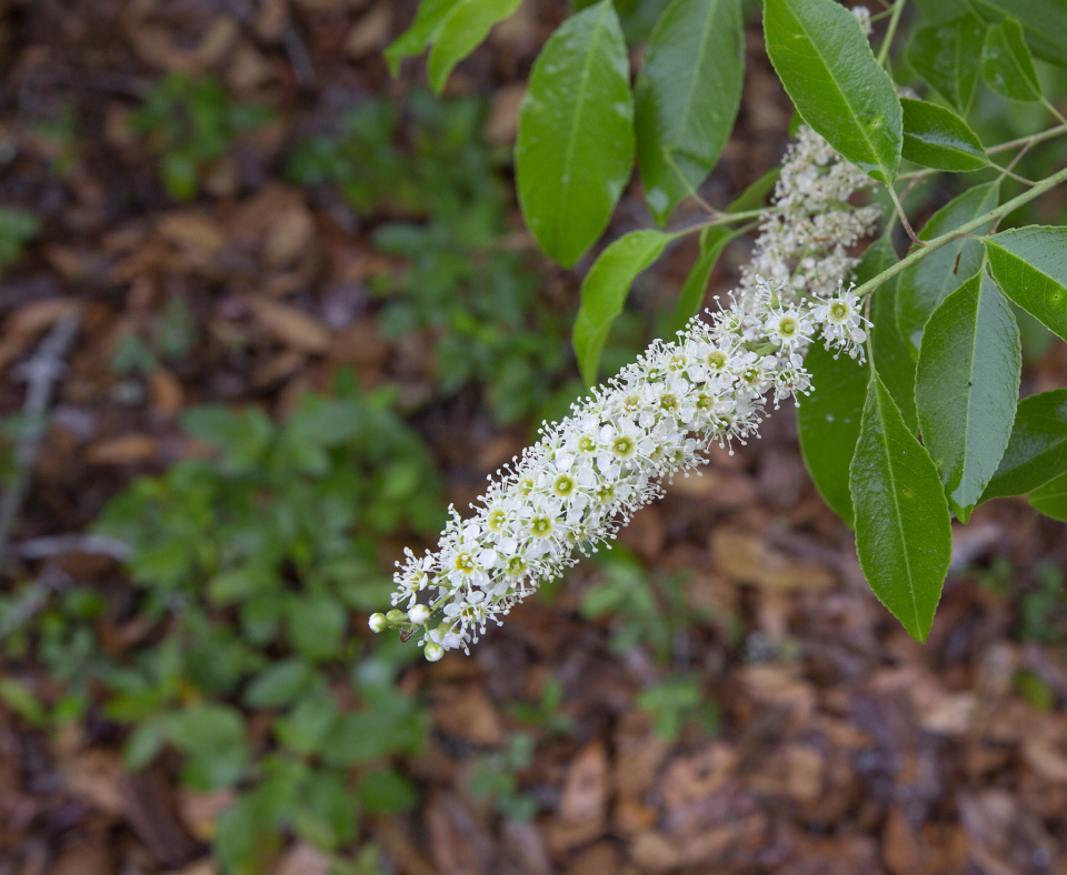 Interesting | bugsman | Blipfoto