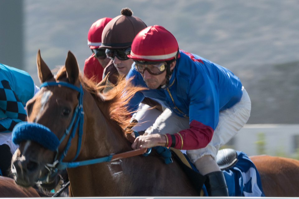 Del Mar Racetrack | rsdphotography | Blipfoto