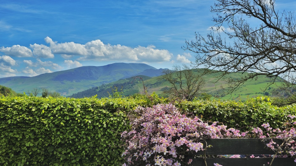Skiddaw from Cockermouth Golf Course. | trevorearthy | Blipfoto
