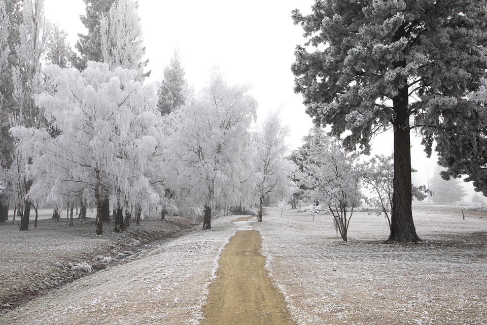 Hoar Frost Day 3 | twigs | Blipfoto