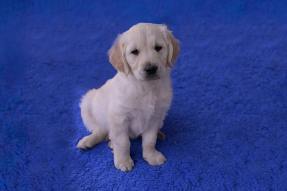 And again | jensphotos | Blipfoto