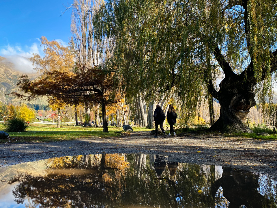 Autumn Reflection | acyclinggranny | Blipfoto