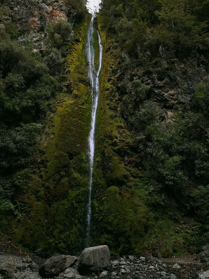 Dog Stream Waterfall Hanmer | mpp26 | Blipfoto
