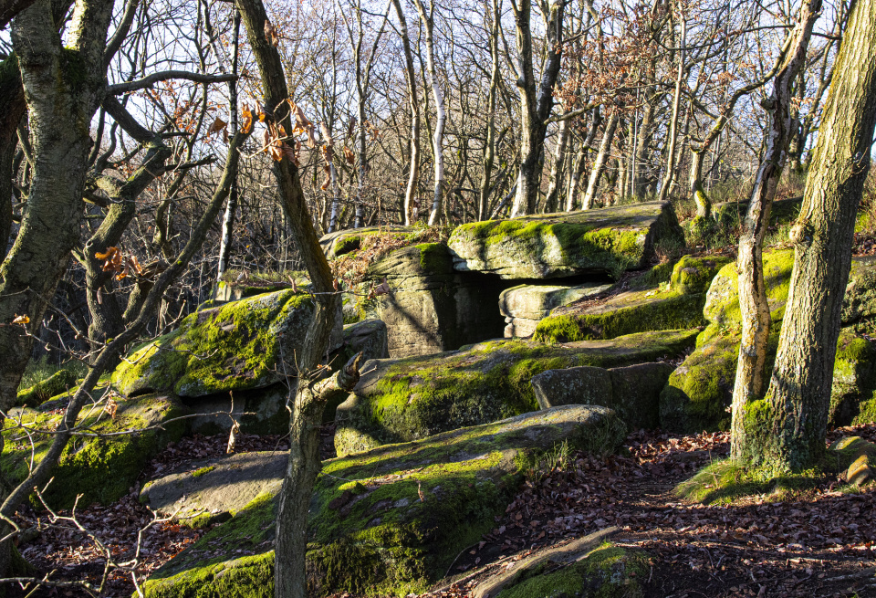 Gruffalo Cave | Wendles56 | Blipfoto