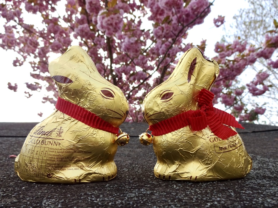 Easter bunnies | Emsie | Blipfoto