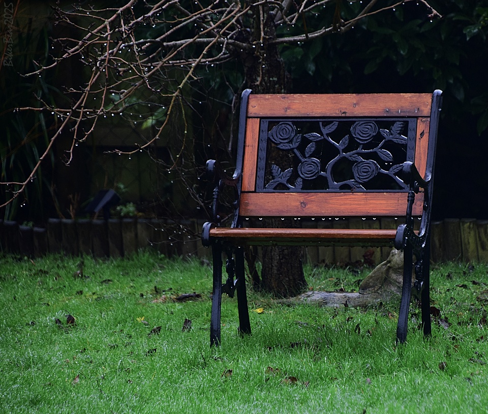 Looking ........... | BikerBear | Blipfoto