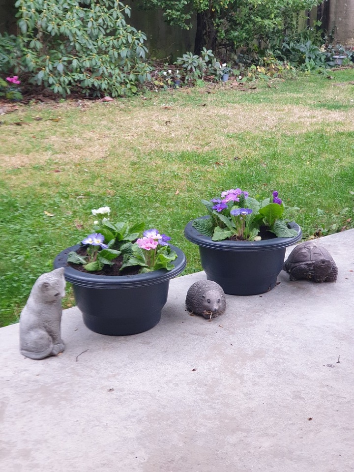 Poly time.... | flying | Blipfoto