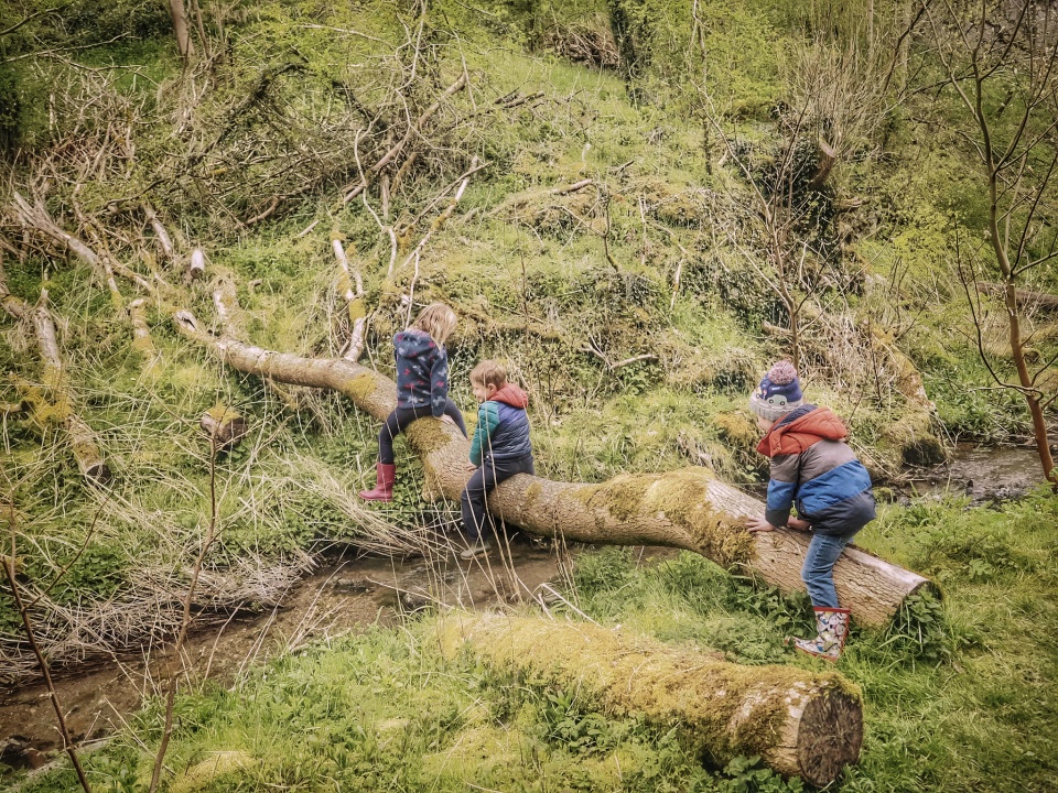 Cousins | Technophobe | Blipfoto