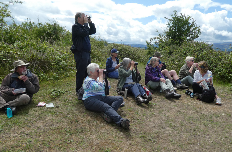 Birdwatchers | NatureWatcher | Blipfoto