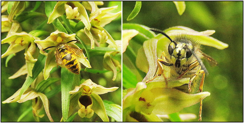 A Special Relationship | gen2 | Blipfoto