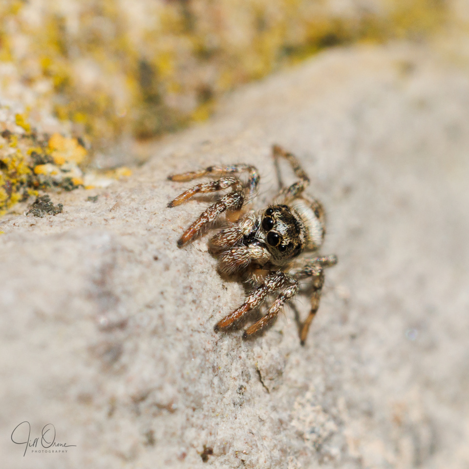 Basking | JDO | Blipfoto