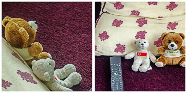 Not a care in the world! | Ingeborg | Blipfoto