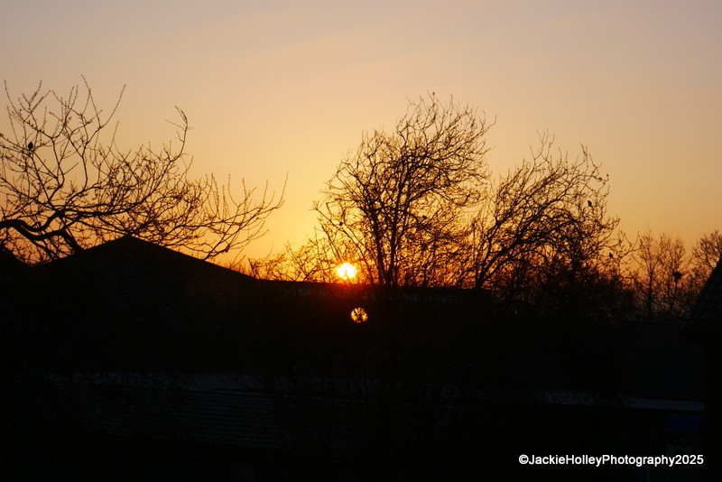 On the cusp | ThingsBeautiful | Blipfoto