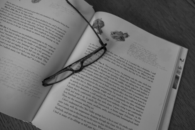 Reading... | dbifulco | Blipfoto