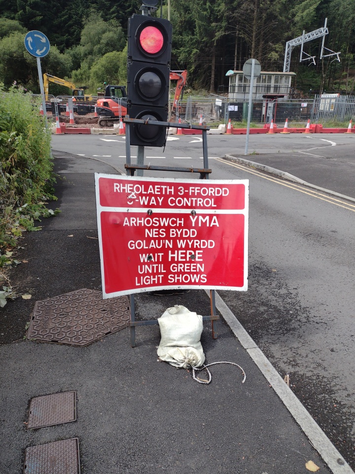 How many? | HJAPics | Blipfoto