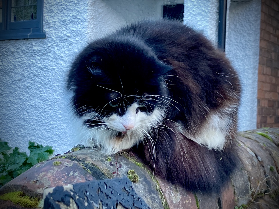 Hello | Jaybay | Blipfoto