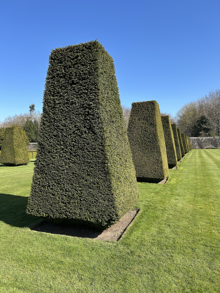 Short back and sides please. | Talpa | Blipfoto