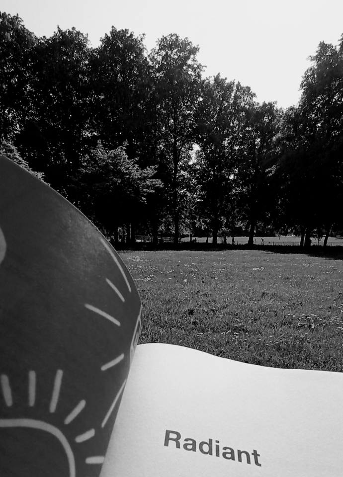 Radiant | middleman | Blipfoto