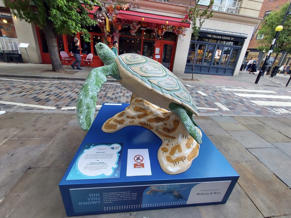 Lunch and Turtles | WendsWanders | Blipfoto