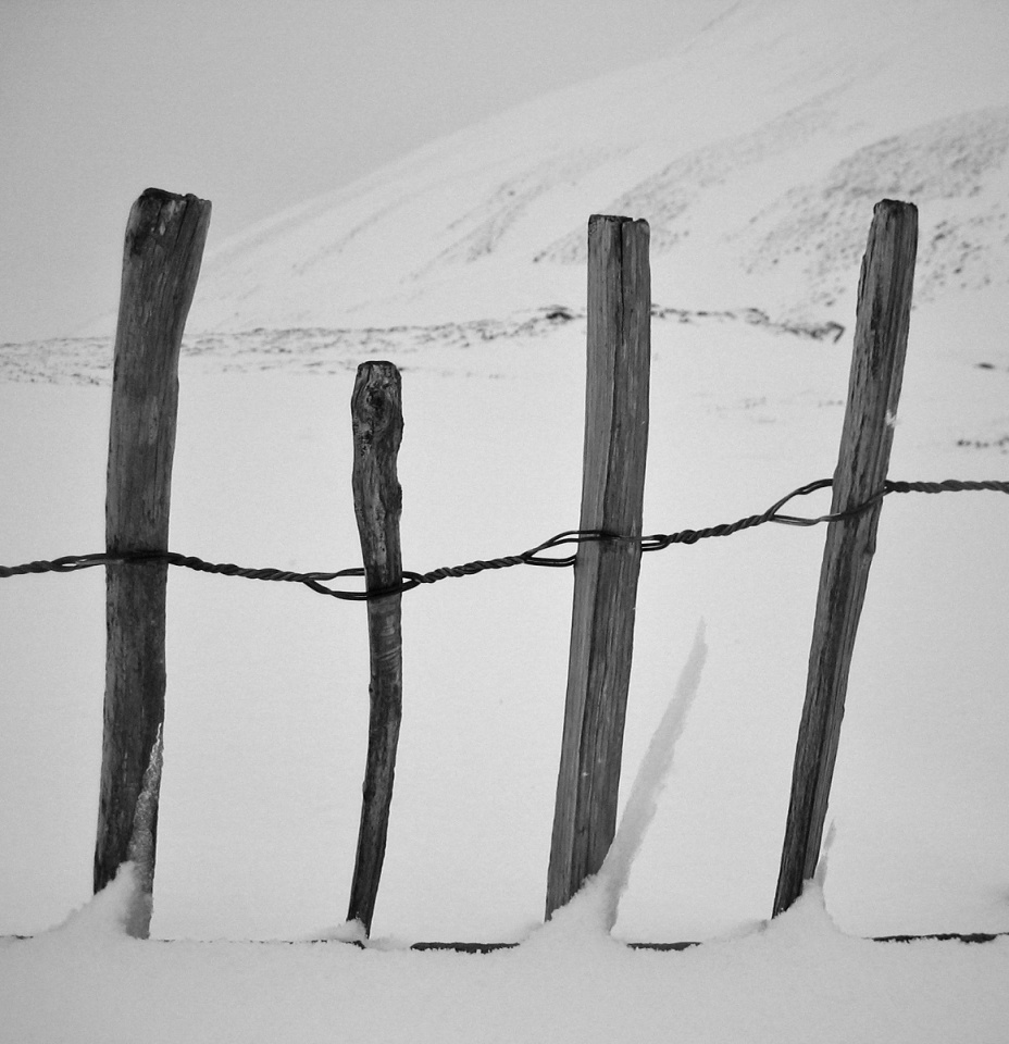 Stakes in the snow | hazelh | Blipfoto