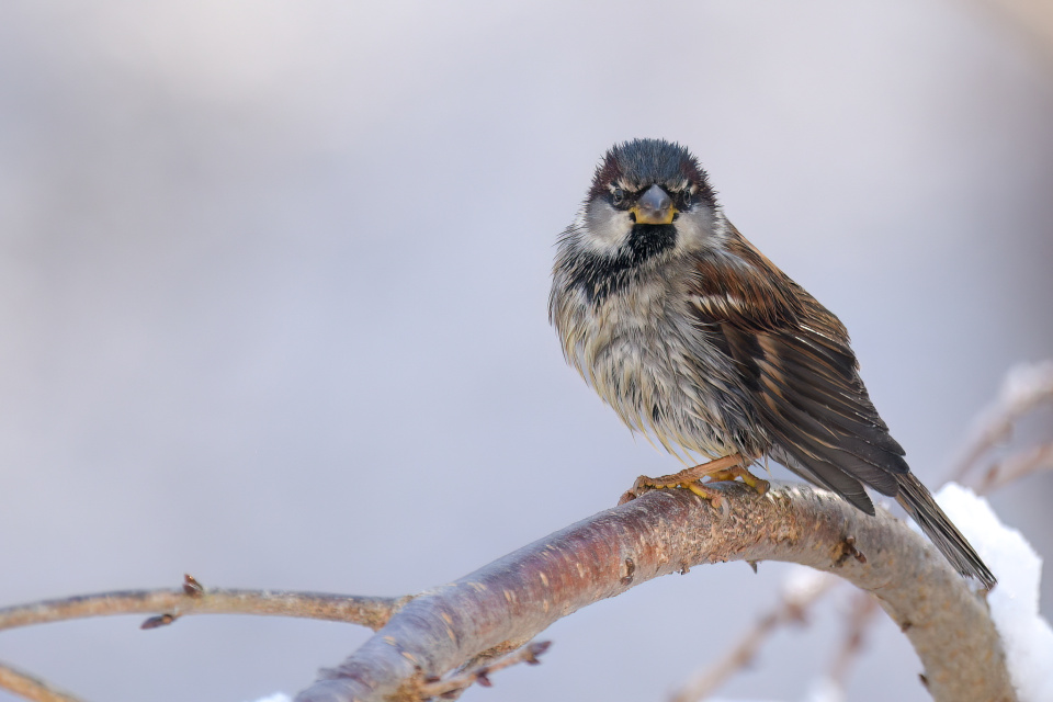 Illogical | dbifulco | Blipfoto