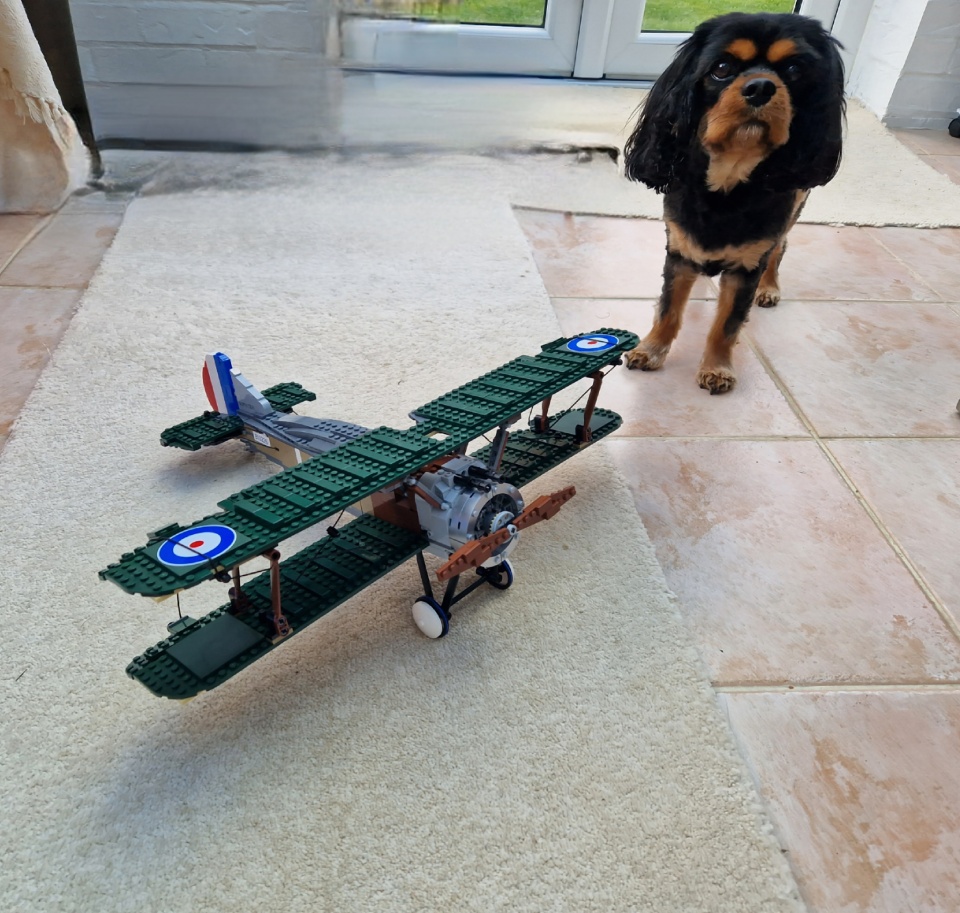 Sopwith Camel | spishy | Blipfoto