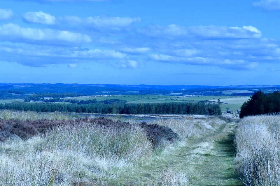 Brilliant walk | Jaybay | Blipfoto