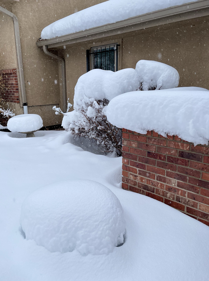 Still snowing | stillandknow | Blipfoto