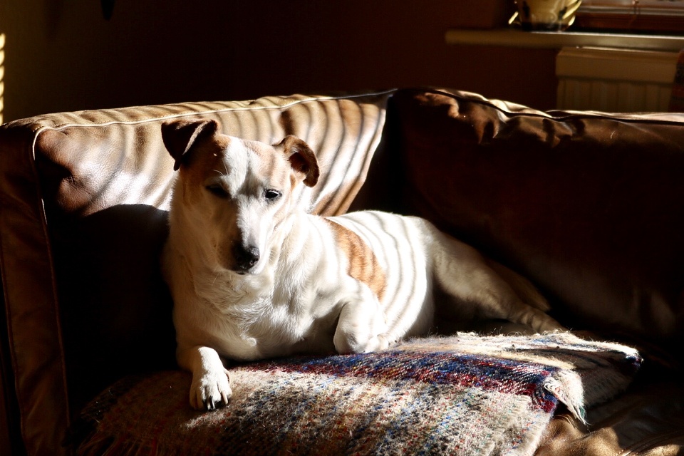 Ruby | Jaybay | Blipfoto