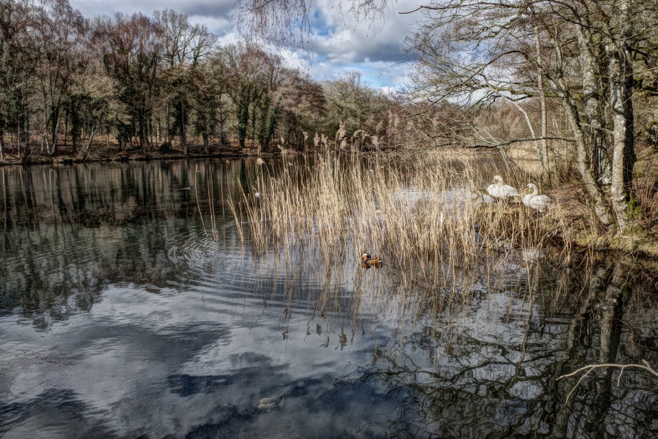 Reflections | BobsBlips | Blipfoto